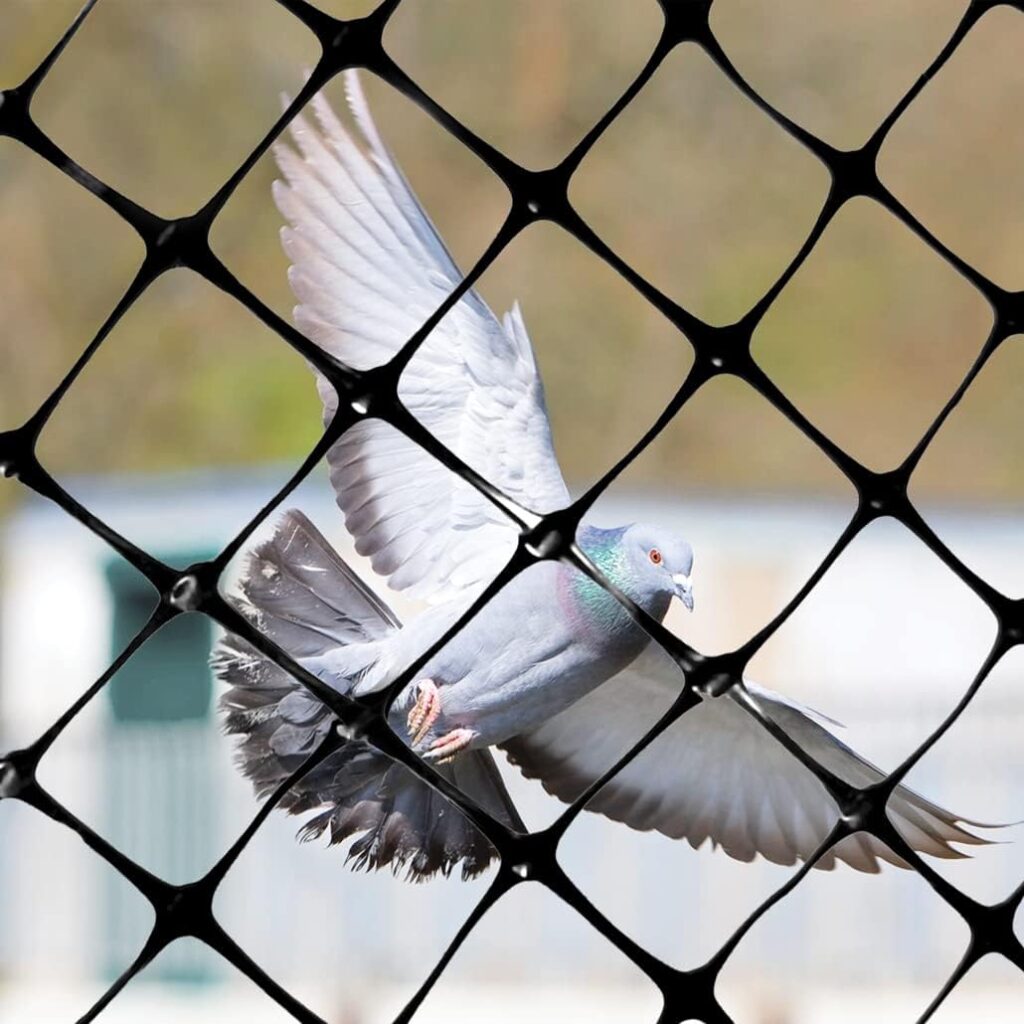Bird Nets in Mumbai | Pigeon & Balcony Nets by Raj Nets